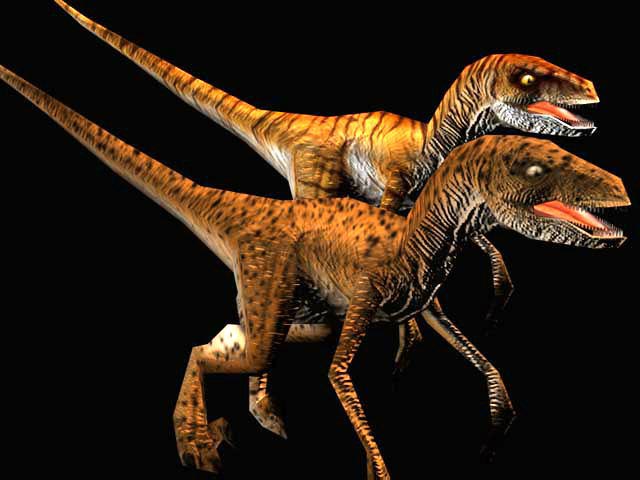 Velociraptor